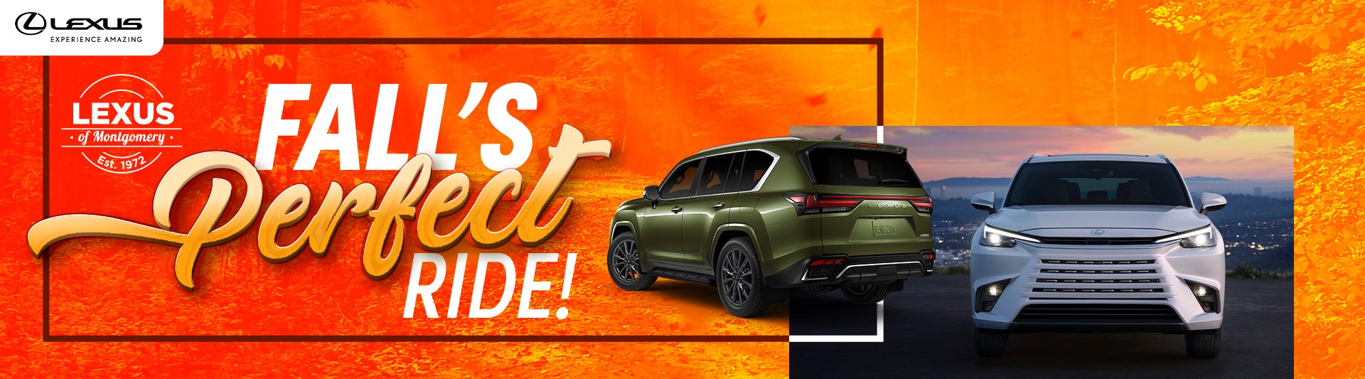 New & Pre-Owned Lexus Dealer Sales & Service - Montgomery Alabama